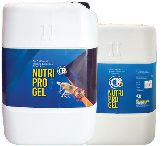 Quantum Biotics | Empowering Shrimp Farmers Enhancing Aqua Culture